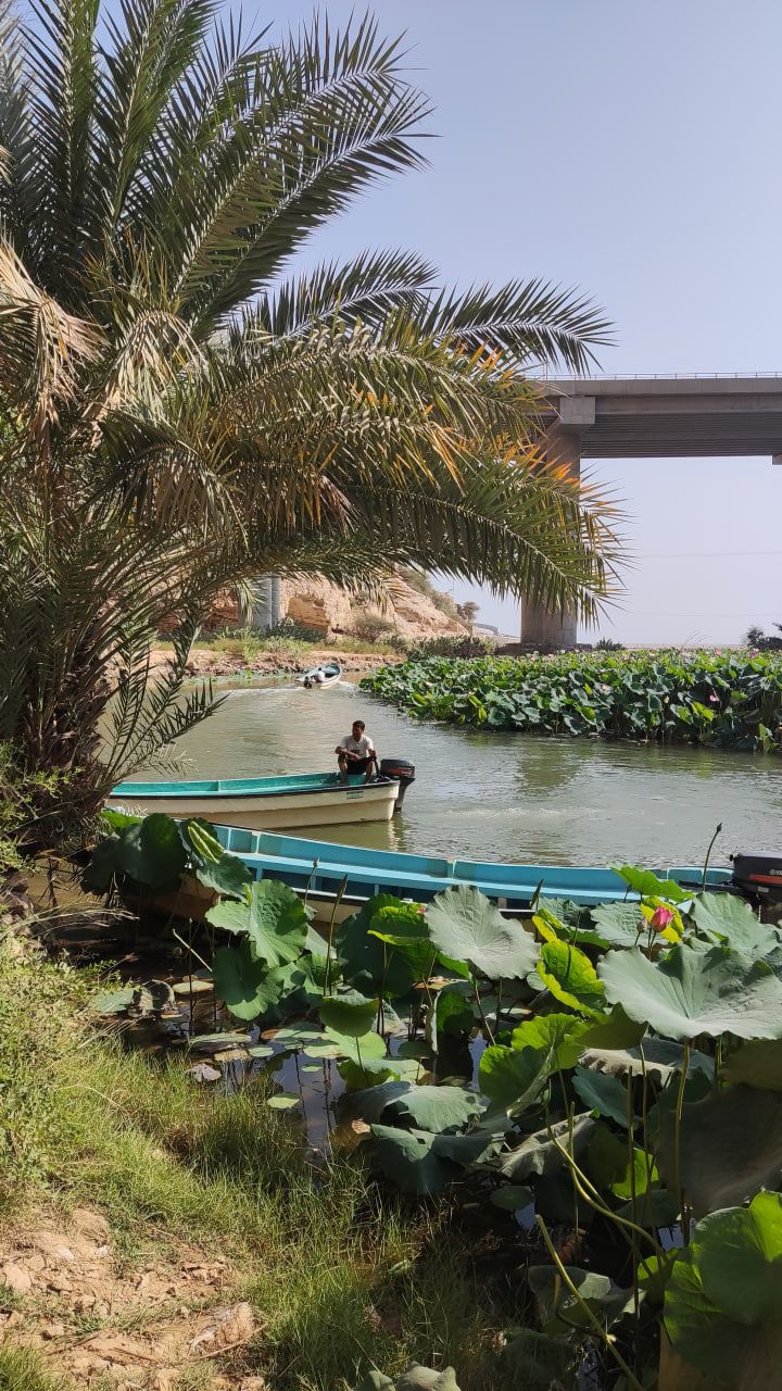 تور نوروزی عمان (مسقط، صور، نیزوا)